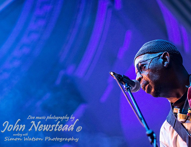 Sugar Shack Records | The Best of the UK’S Reggae Scene